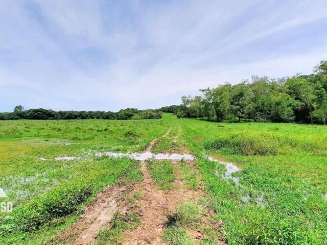Sítio para venda em Viamão