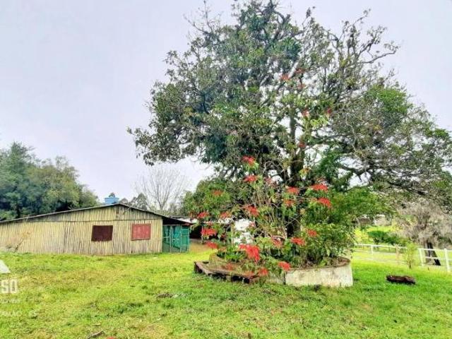 Sítio para venda em Viamão