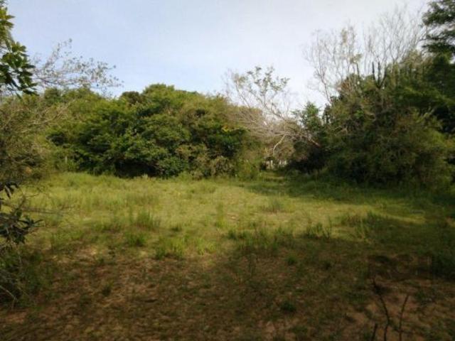Sítio para venda em Viamão