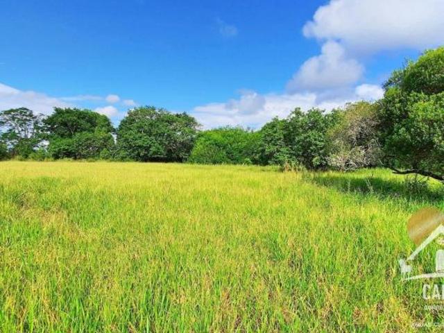 Sítio para venda em Viamão