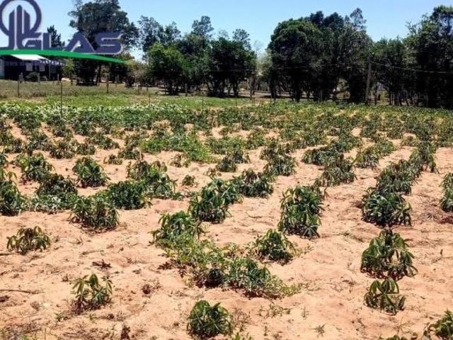 Sítio para venda em Viamão