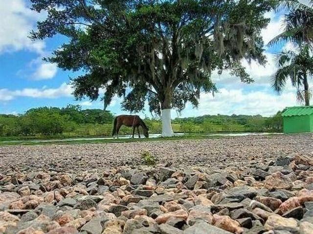 Sítio para venda em Viamão