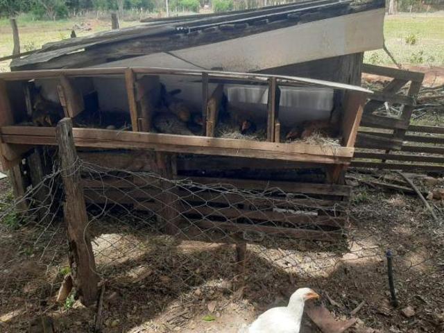 Sítio para venda em Vila Aeroporto, Mirassol
