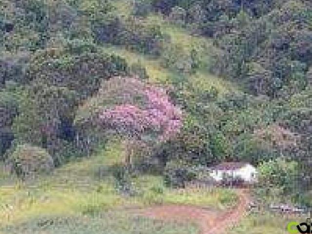 Sítio para venda em Vila Brasil de Nossa Senhora Aparecida