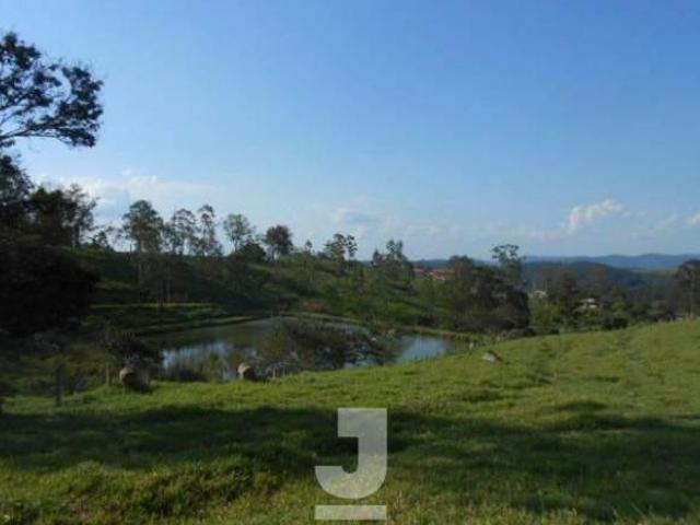 Sítio para venda em Vila Nova, Amparo