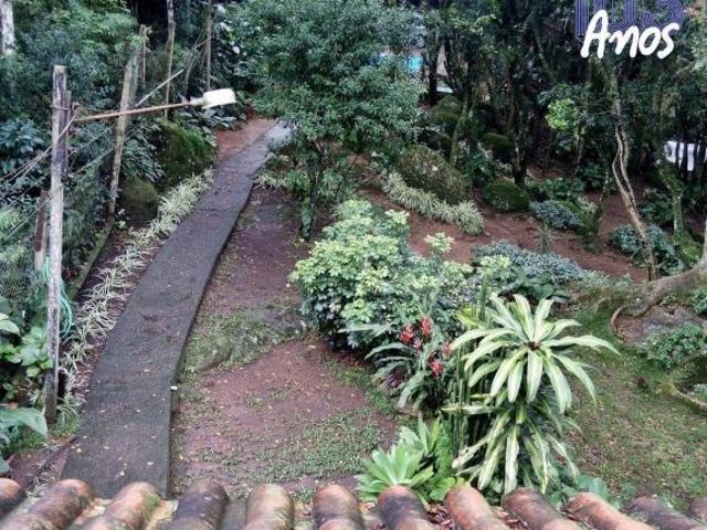 Sítio para venda em Vila Nova, Porto Alegre