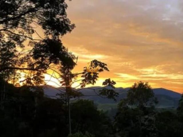 Fazenda para venda em Vila Santos, Caçapava