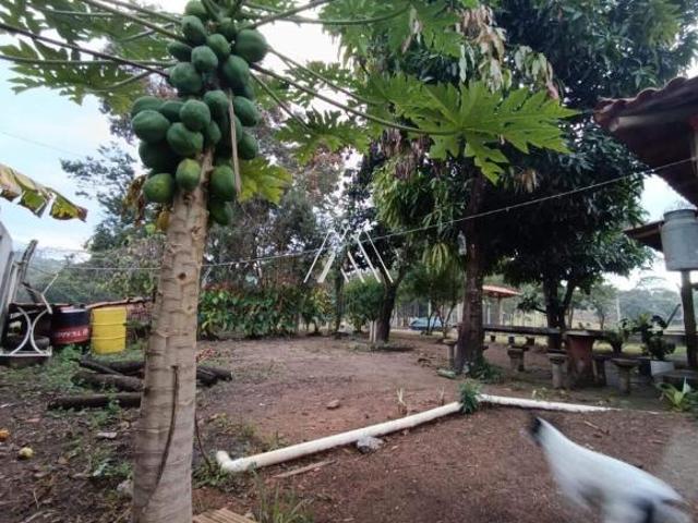 SÍTIO PARA VENDA PAULAS ITAÚNA MG