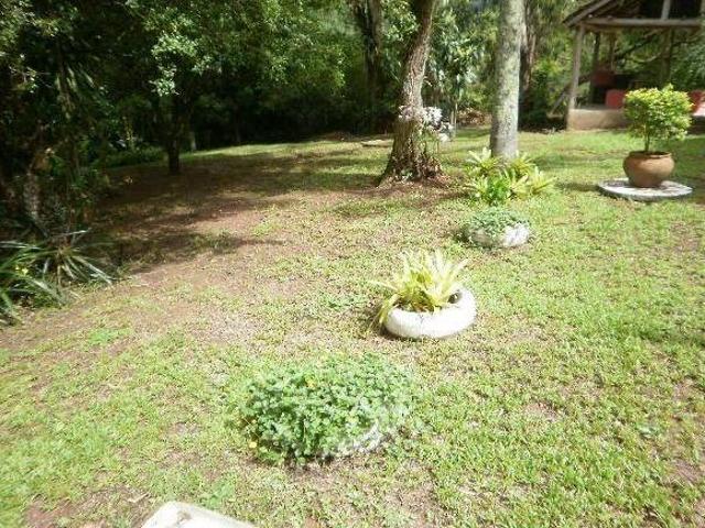 Sítio para Venda 120000m², 3 dormitórios, Lami