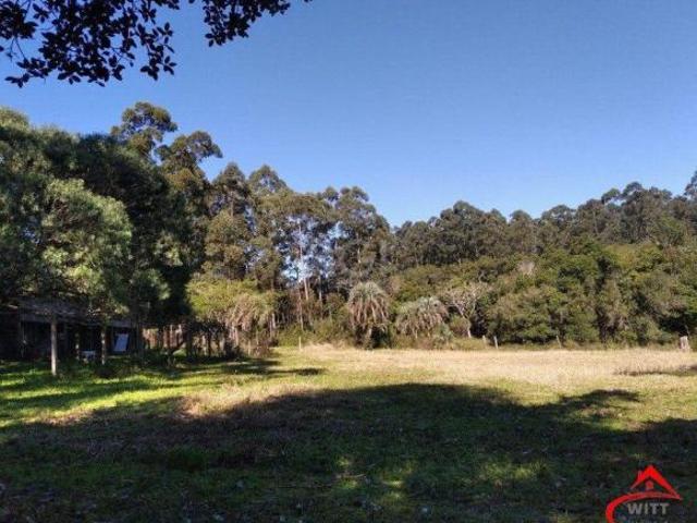 Sítio para Venda 2500m², 0 dormitórios, Passo Da Areia