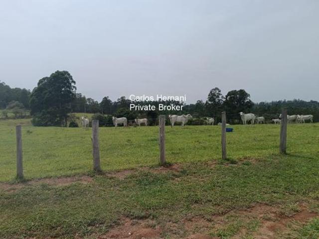 Sitio, Pinheirinho, Itu, SP