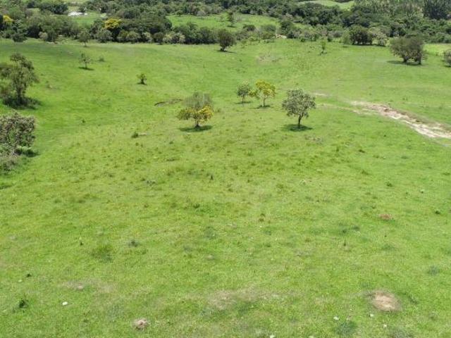 Sitio Porangaba 22 Alqueires Formada em Pasto Topografia Plana a Ondulada Atualmente na P