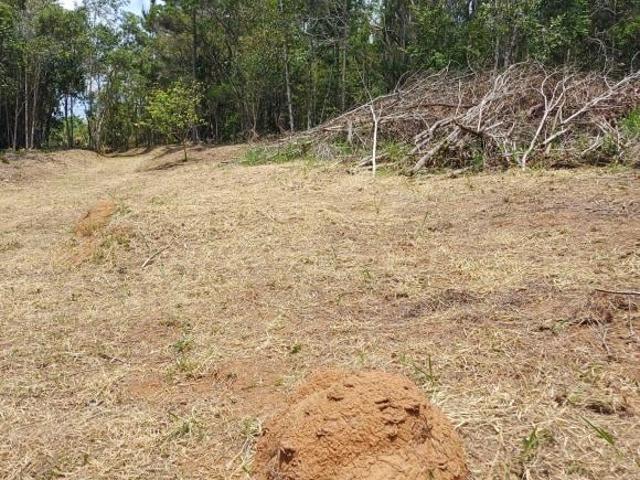 SITIO PLANO, COM LINDO RIBEIRÃO 350 MIL
