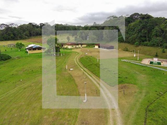 Sítio Plano em Juquitiba SP COD: 5832 F: 11 97302 9229 CESAR