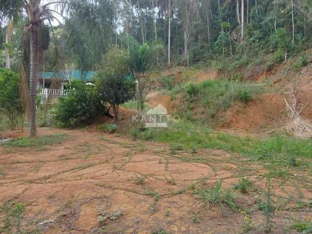 Sitio próximo a monte verde pomar plano em ótima localização