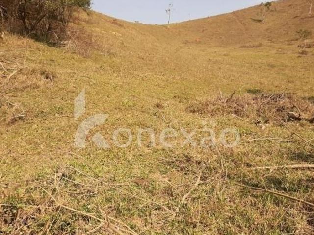 Sitio próximo a tamoios ótimo pra gado de corte
