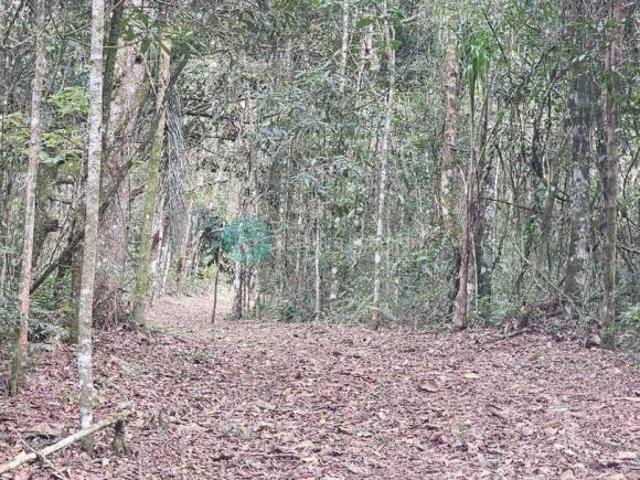 Sítio Proximo ao centro Santo Antônio do Pinhal
