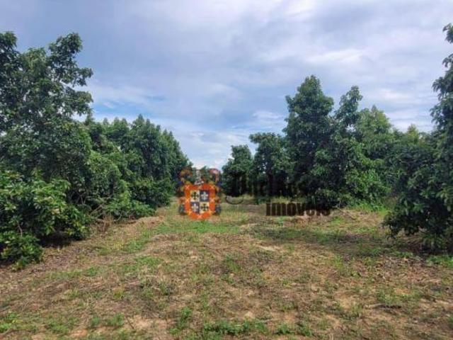 Sítio Produtivo à venda, 44500 m² por R$ 1.250.000 Monte Mor Monte Mor/SP