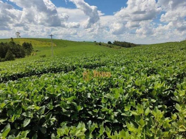 Sítio Produtivo à Venda em São Miguel Arcanjo, SP