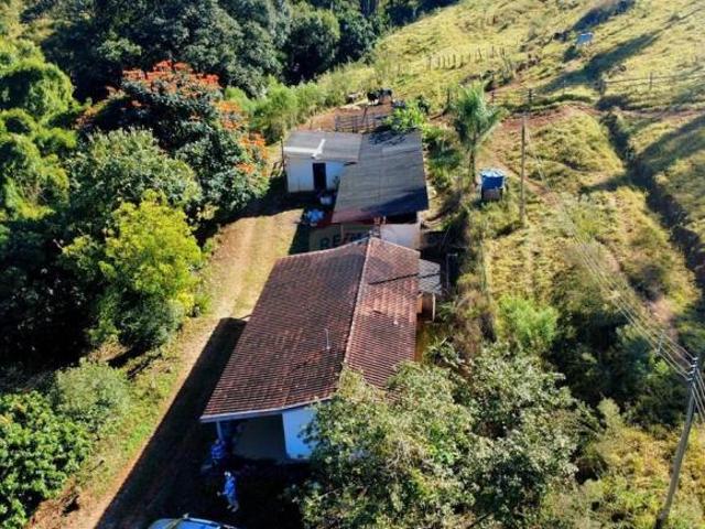 Sítio produtivo de 20 hectares em Socorro – 35.000 pés de eucalipto gerando R$168 mil + área para pe