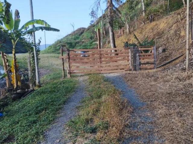 Sítio Produtivo em Miracatu: 12ha com 3.000 pés de Pupunha e Água Mineral Documentação em ordem
