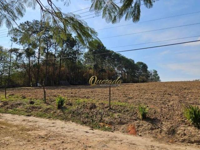 Sítio produzindo, à venda, 3 casas, plantação de uva com 3 mil pés, bairro Mato Dentro, Indaiatuba