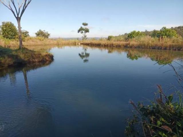 Sítio Rancho Feliz: Seu Refúgio de 7 Hectares a 50km de Brasília 61 9 8181 3937