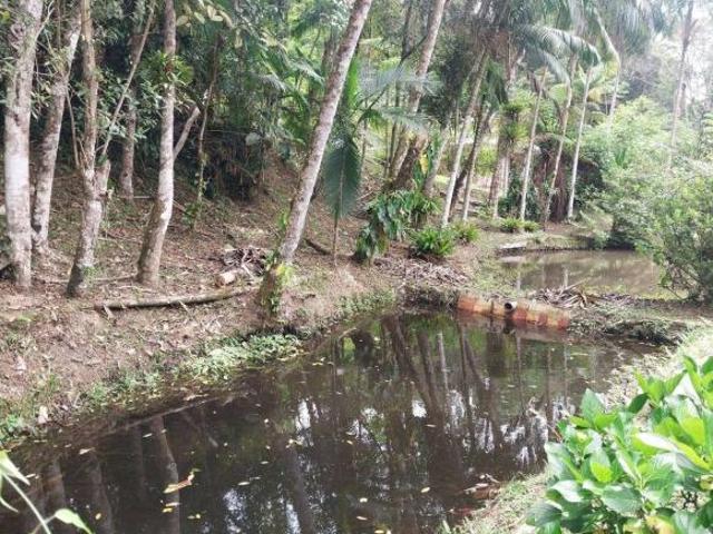 SÍTIO RECANTO VERDE EM JUQUITIBA SP COD: 6052 F: 11 97302 9229 CESAR
