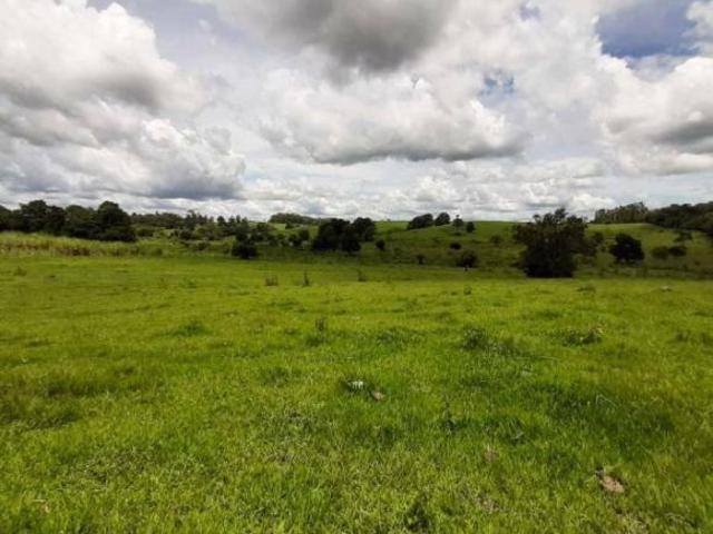 Sítio, Região do Cesário Lange SP