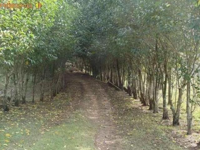 Sítio, Região de Jumirim SP