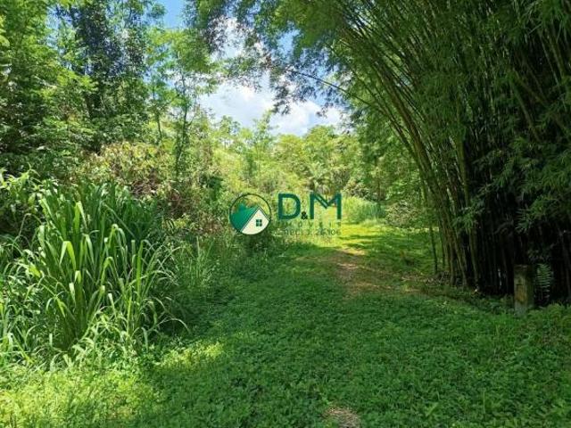 Sítio residencial à venda em Cajati, Capelinha – Ref. 1