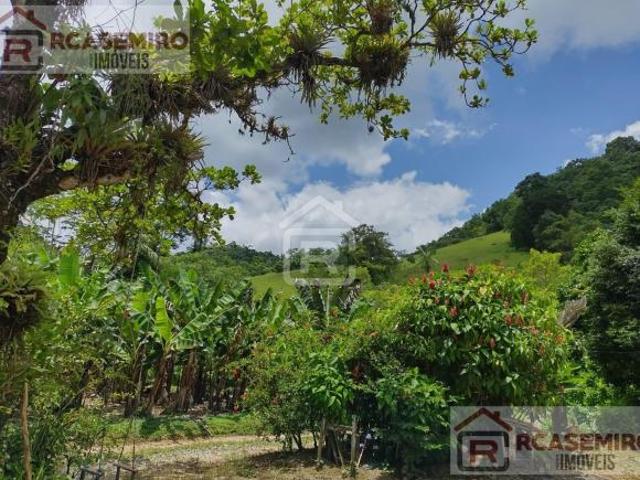 Sitio rico em água, localizado em Juquia SP, com muitas nascentes
