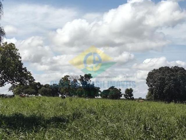 Sítio Rochedo