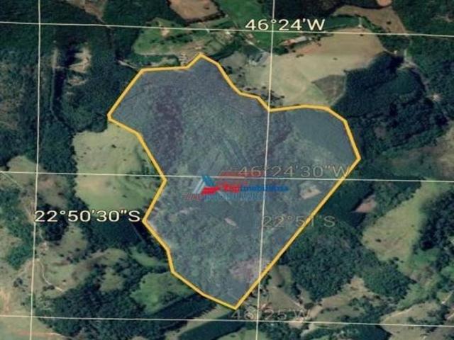 Sítio Rural à venda, Centro, Vargem SI0004