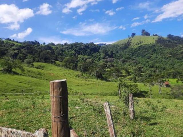 Sítio Rural à venda, Dos Pintos, Joanópolis SI0013