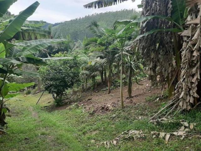 Sítio Rural à Venda Paraibuna/SP Sua oportunidade de viver no campo com qualidade e rentabilida
