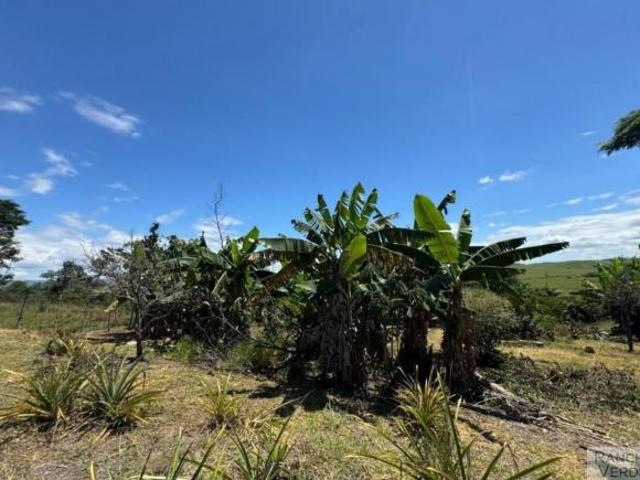 Sítio, Rural, Caçapava, SP