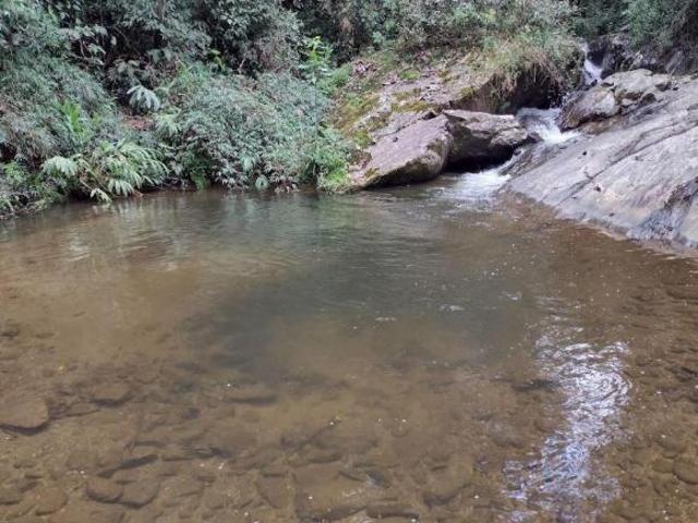 Sítio Rural com 9,86 alqueires 23,86 hectares e chalé aconchegante em Campos de Cunha, Silveiras