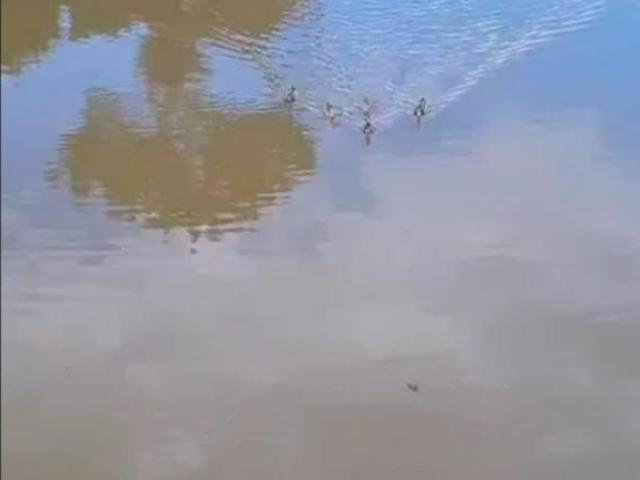 Sítio, Rural, Cruzília, MG