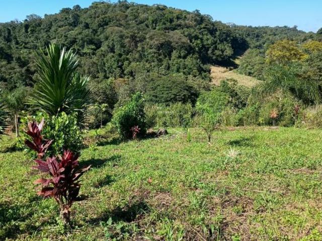 Sítio, Rural, Juquiá, SP