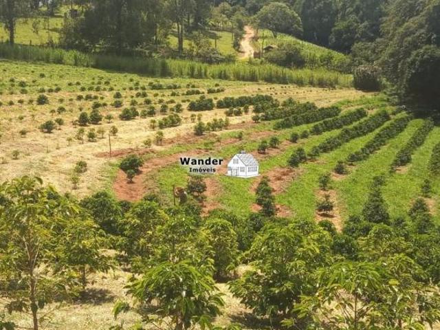 Sitio, Rural, Munhoz, MG