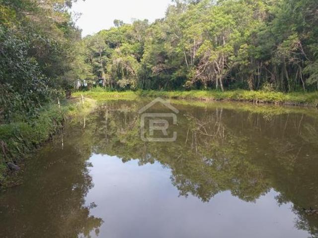 Sitio, Sitio Com Excelente Topografia, Frente Para Rodovia, Juquitiba, SP