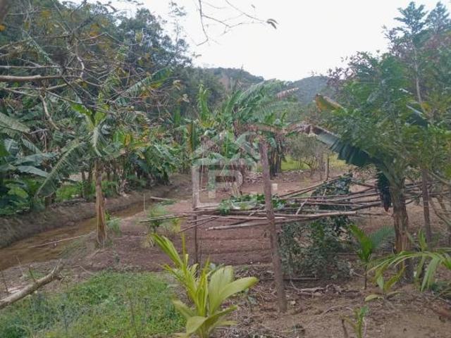 Sitio, Sitio Com Lago E Riacho, Juquitiba, SP