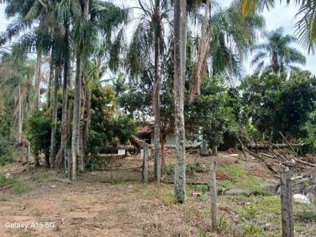 Sitio, Socorro, Socorro, SP
