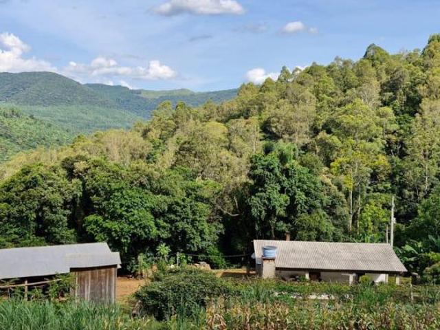 Sítio/Chácara na Serra Gaúcha em São Francisco de Paula/RS com 25 Hectares