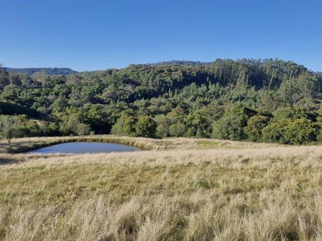 Sítio/Chácara Três Coroas/RS Localidade de Rodeio Bonito Caminho da Serra Gaúcha