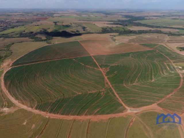 Sitio/Fazenda à Venda, 408 alqueires por R$ 102.000.000 Cód. ch2406