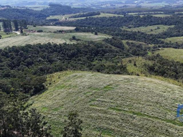 Sítio/Fazenda à Venda, 48,25 alqueires por R$ 4.825.000 Cód. ch2437