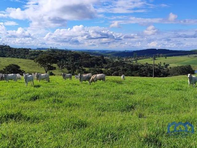 Sítio/Fazenda à Venda, 53 alqueires por R$ 17.000.000 Cód. ch2251