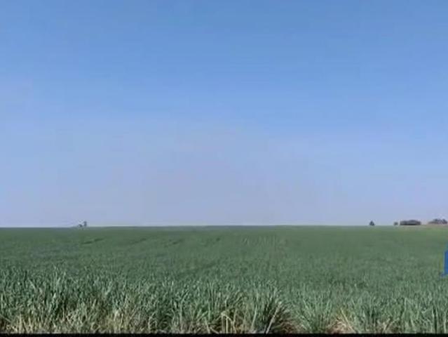 Sítio/Fazenda à Venda, 500 alqueires por R$ 42.000.000 Cód. ch2648